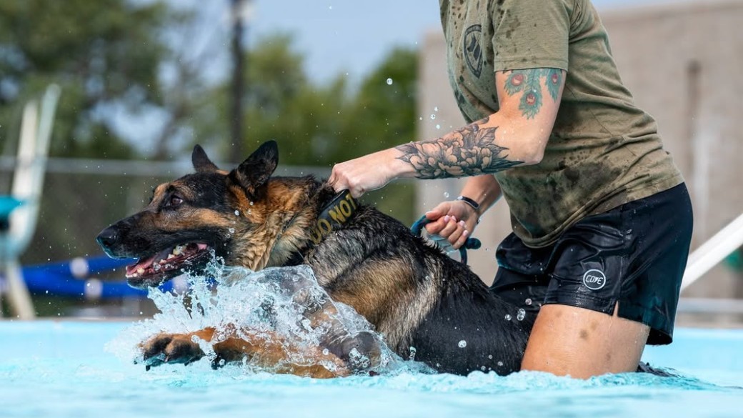 Military Occupational Specialty Guide - All Branches